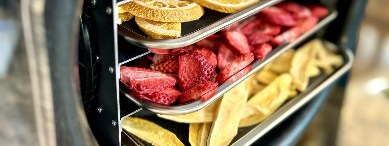 Why Freeze Dry? The Ultimate Guide to the Benefits of Freeze Drying ...