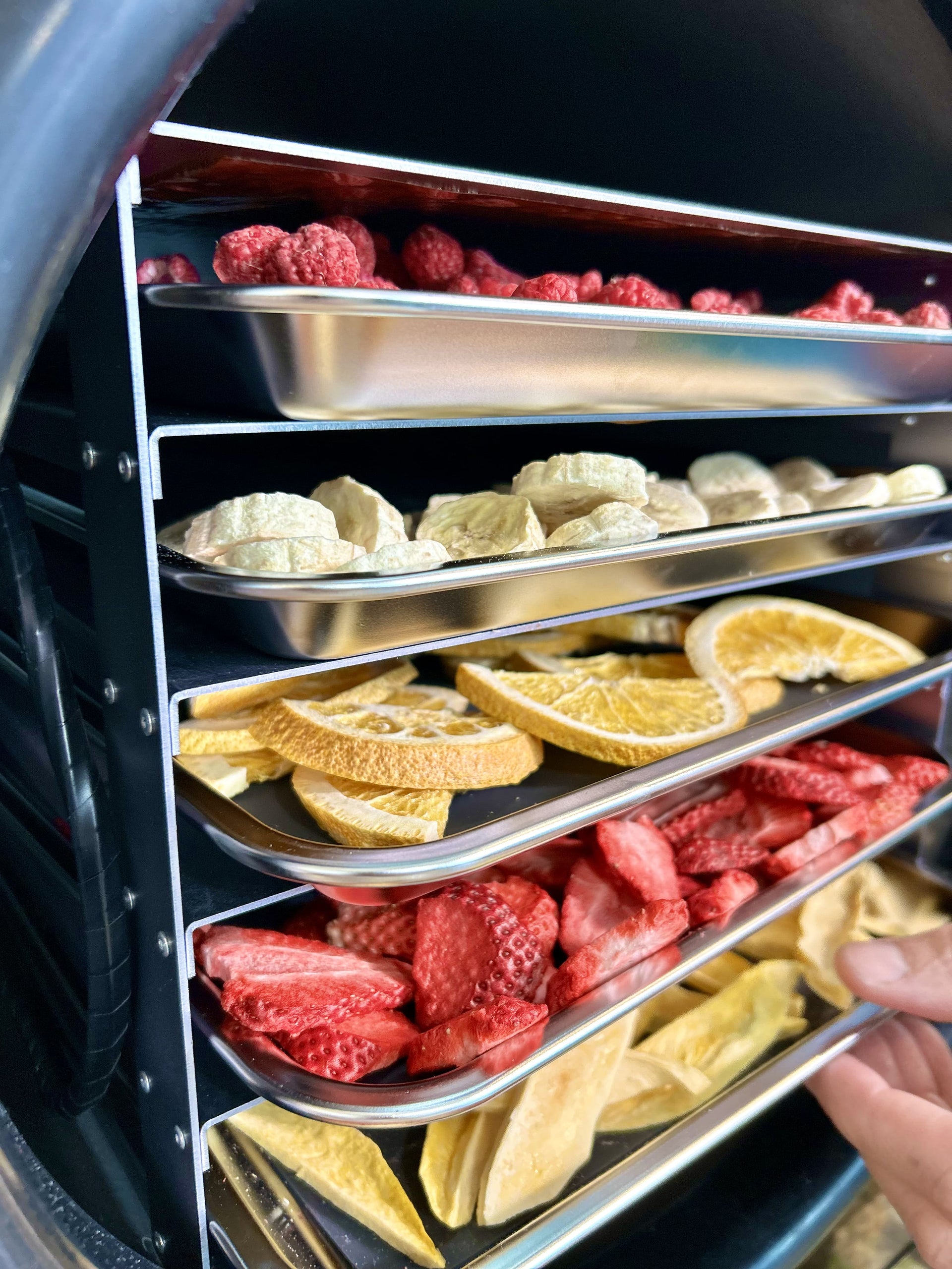 Blue Alpine - Home Freeze Dryer